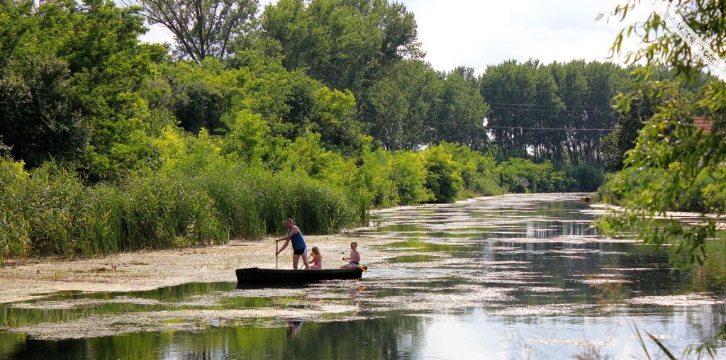 dunav-tisa-dunav - Vesti iz Sombora - SOinfo.org - Sombor 24/7