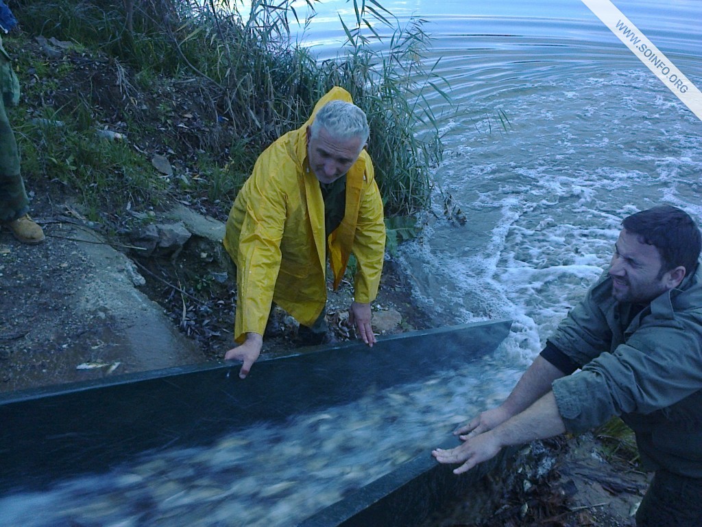 dunav-tisa-dunav - Vesti iz Sombora - SOinfo.org - Sombor 24/7