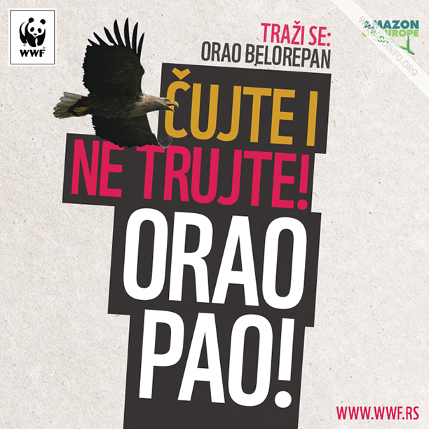 Čujte i ne trujte! Orao pao - Vesti iz Sombora - SOinfo.org - Sombor 24/7