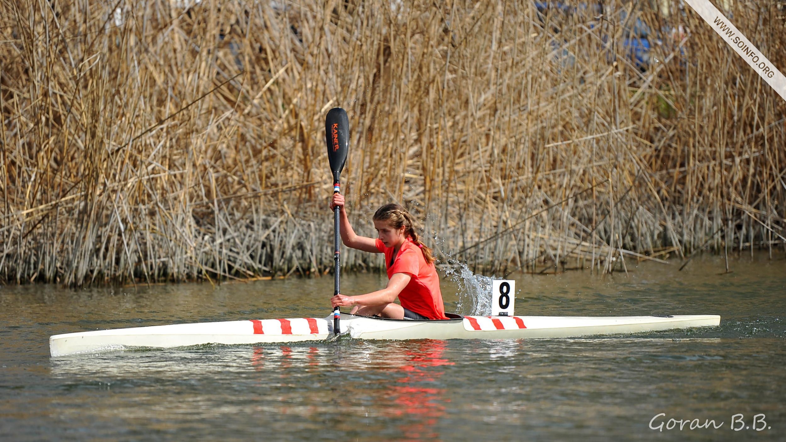 Dunav: Šest naslova u Novom Sadu - Vesti iz Sombora - SOinfo.org ...