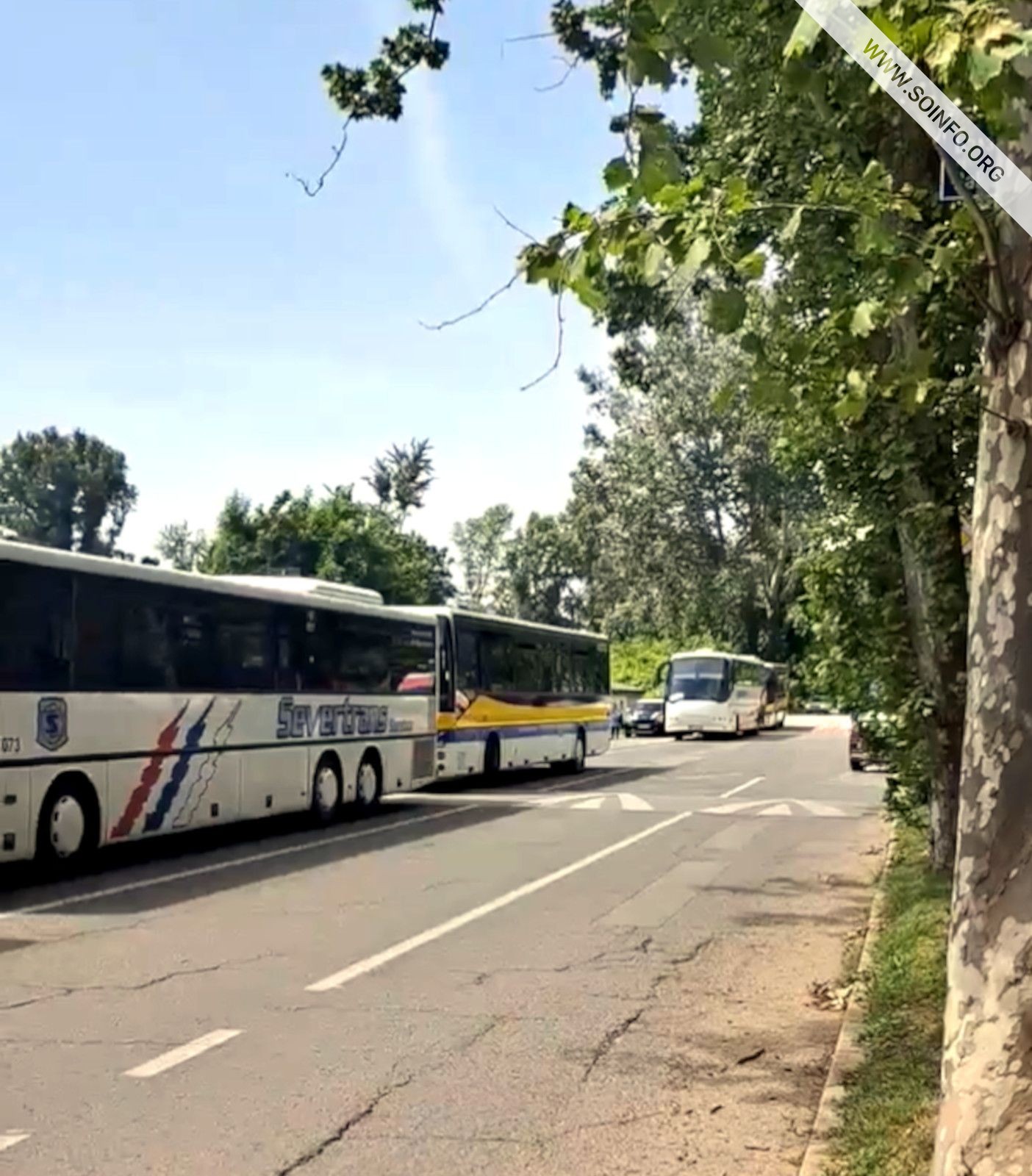 Brojni autobusi Sevetransa na mitingu u Novom Sadu - Vesti iz Sombora ...